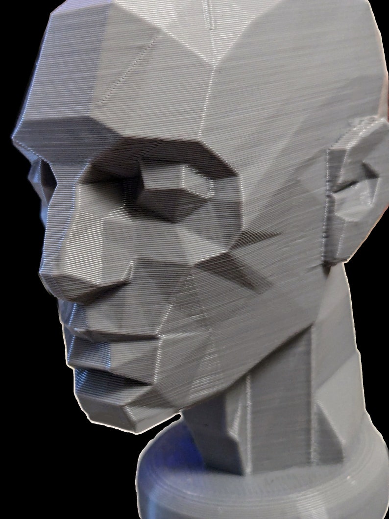 3D Printed Poseable Asaro Head Low Poly Human Head Cast Model for ...