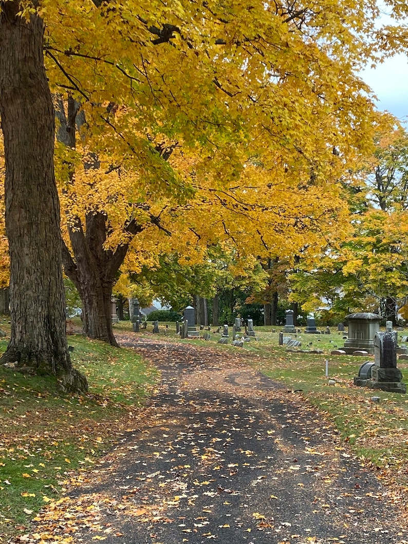 Wooster Cemetery in the Fall - Etsy