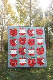 PDF COLOR ME Quilt Pattern - Etsy Canada