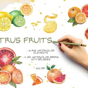 Citrus Fruits Clipart and Watercolor Backgrounds, Digital Paper With ...