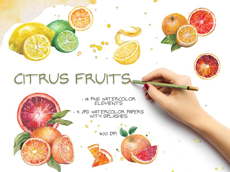 Citrus Fruits Clipart and Watercolor Backgrounds, Digital Paper With ...