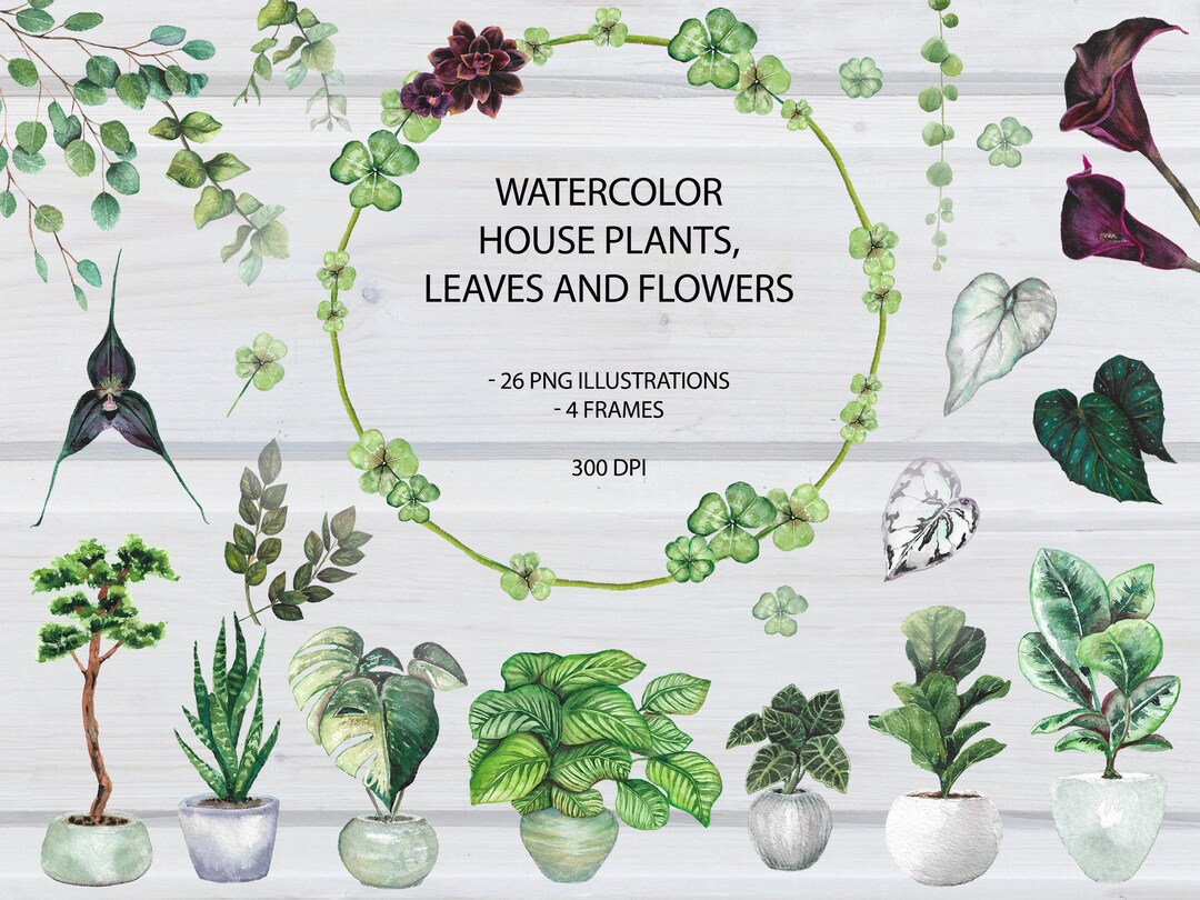 Watercolor Hand Painted House Plants Clipart Green Plants and - Etsy