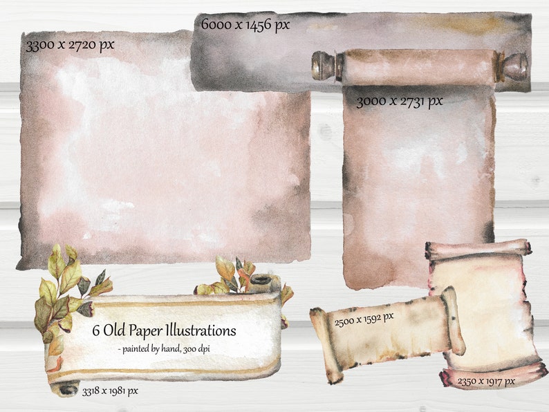Vintage Book Dividers and Old Paper Scrolls, Watercolor Old Texture ...