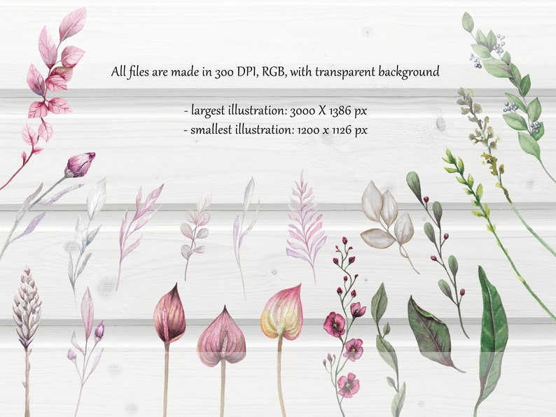Magenta Garden Watercolor Clipart, Flowers and Leaves Clip Art, Spring ...