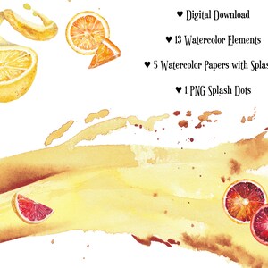 Citrus Fruits Clipart and Watercolor Backgrounds, Digital Paper With ...