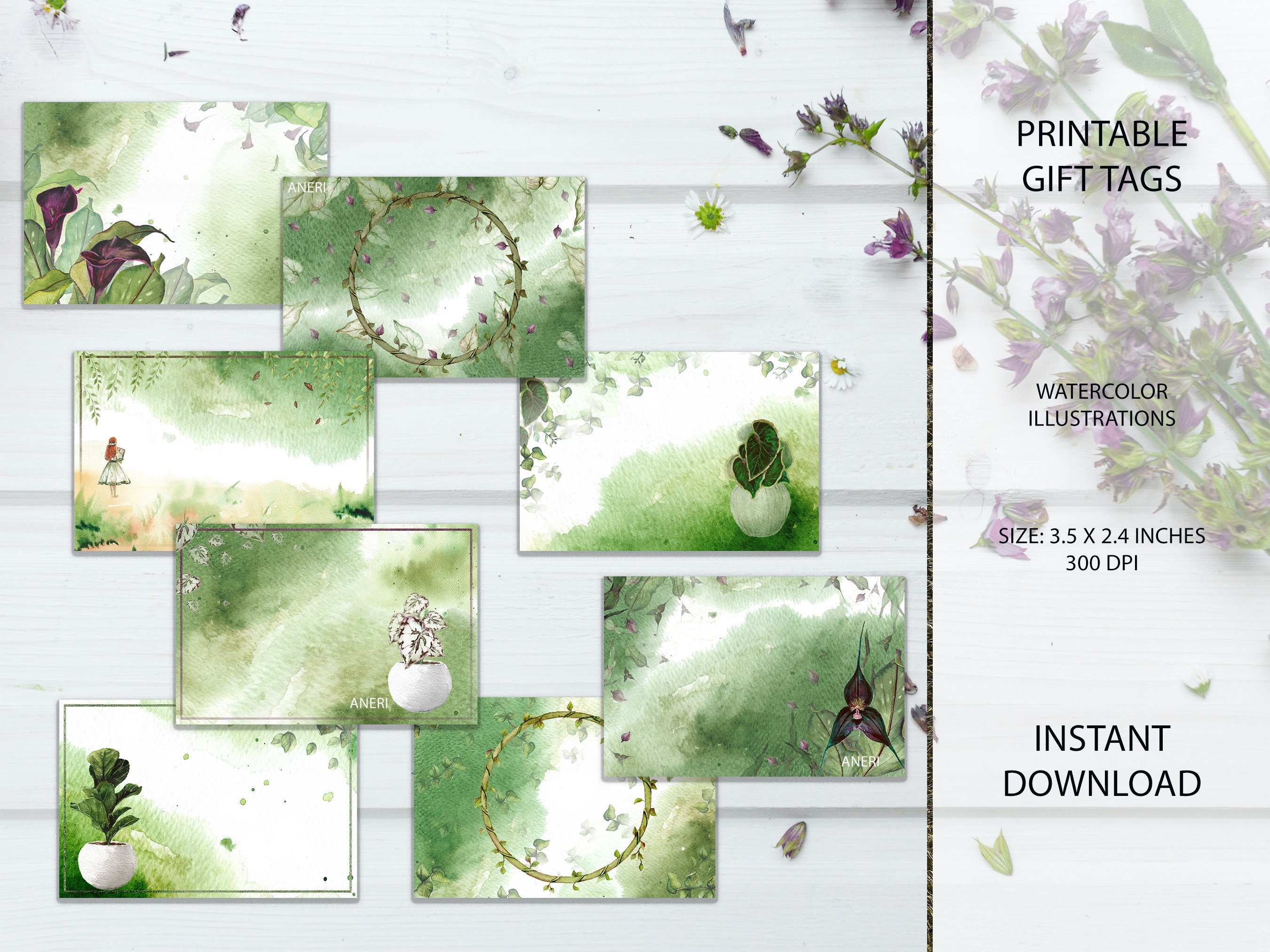 Printable Labels With Watercolor Illustrations, Botanical, Digital ...