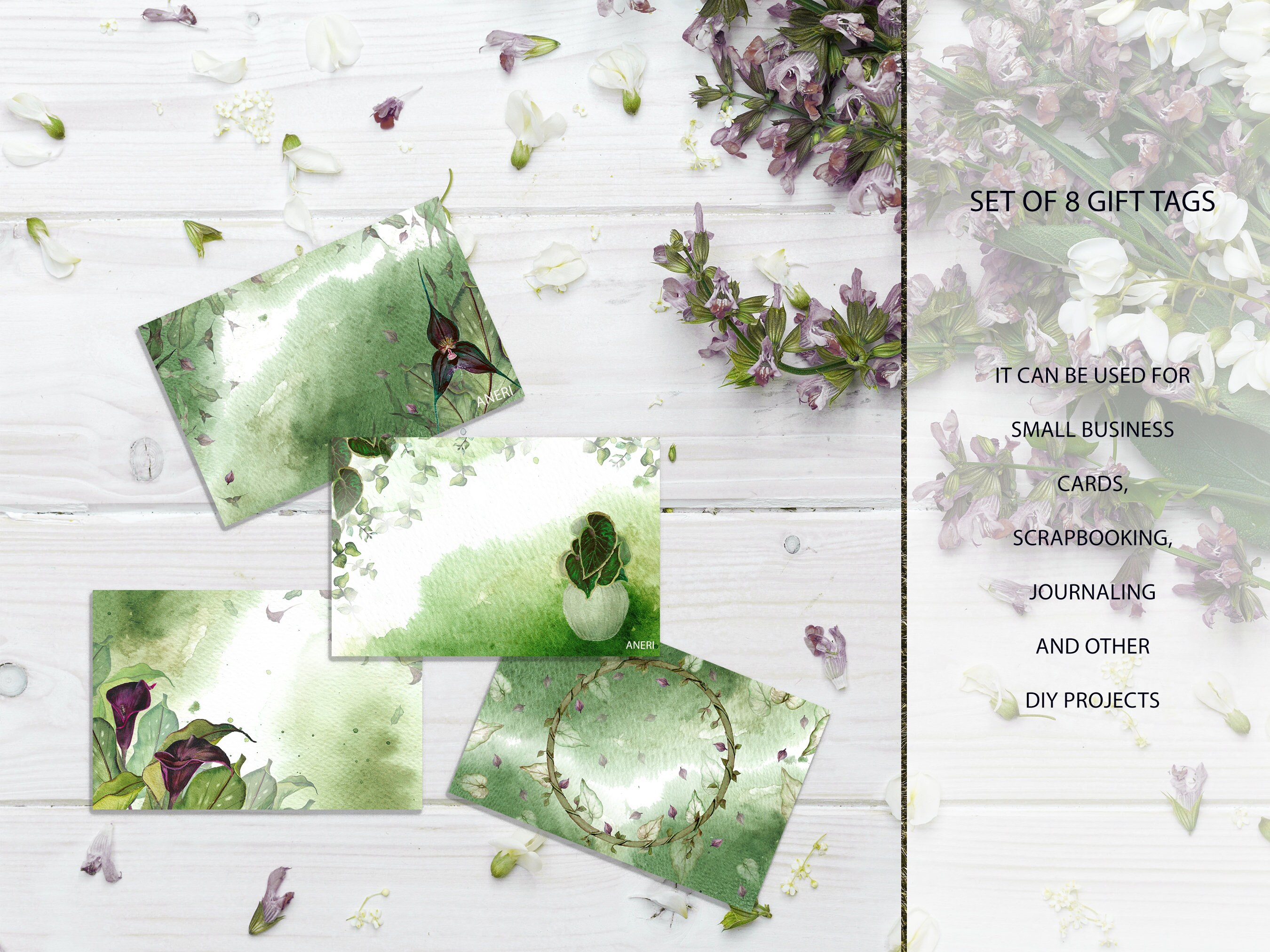 Printable Labels With Watercolor Illustrations, Botanical, Digital ...