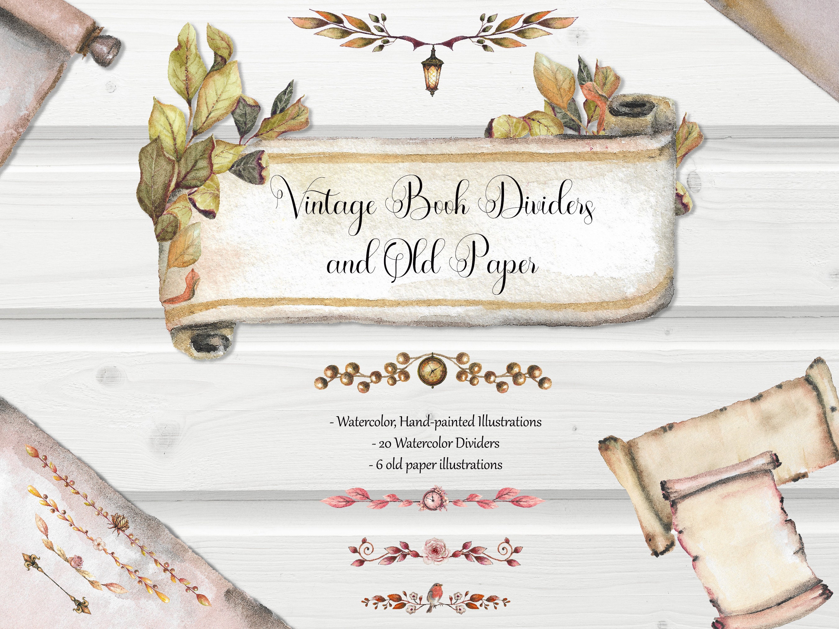 Vintage Book Dividers and Old Paper Scrolls, Watercolor Old Texture ...