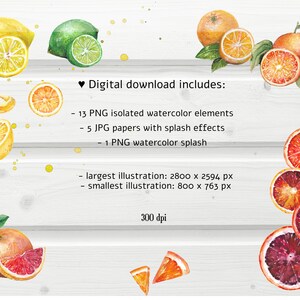 Citrus Fruits Clipart and Watercolor Backgrounds, Digital Paper With ...
