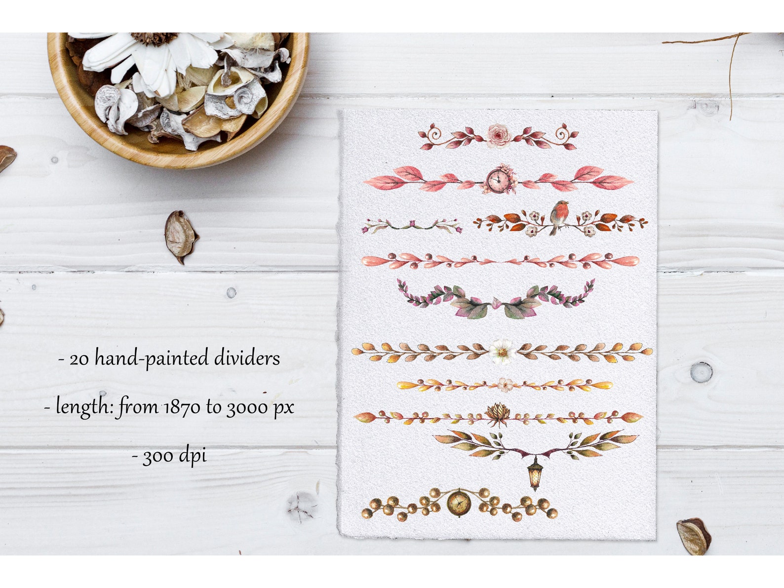 Vintage Book Dividers and Old Paper Scrolls, Watercolor Old Texture ...