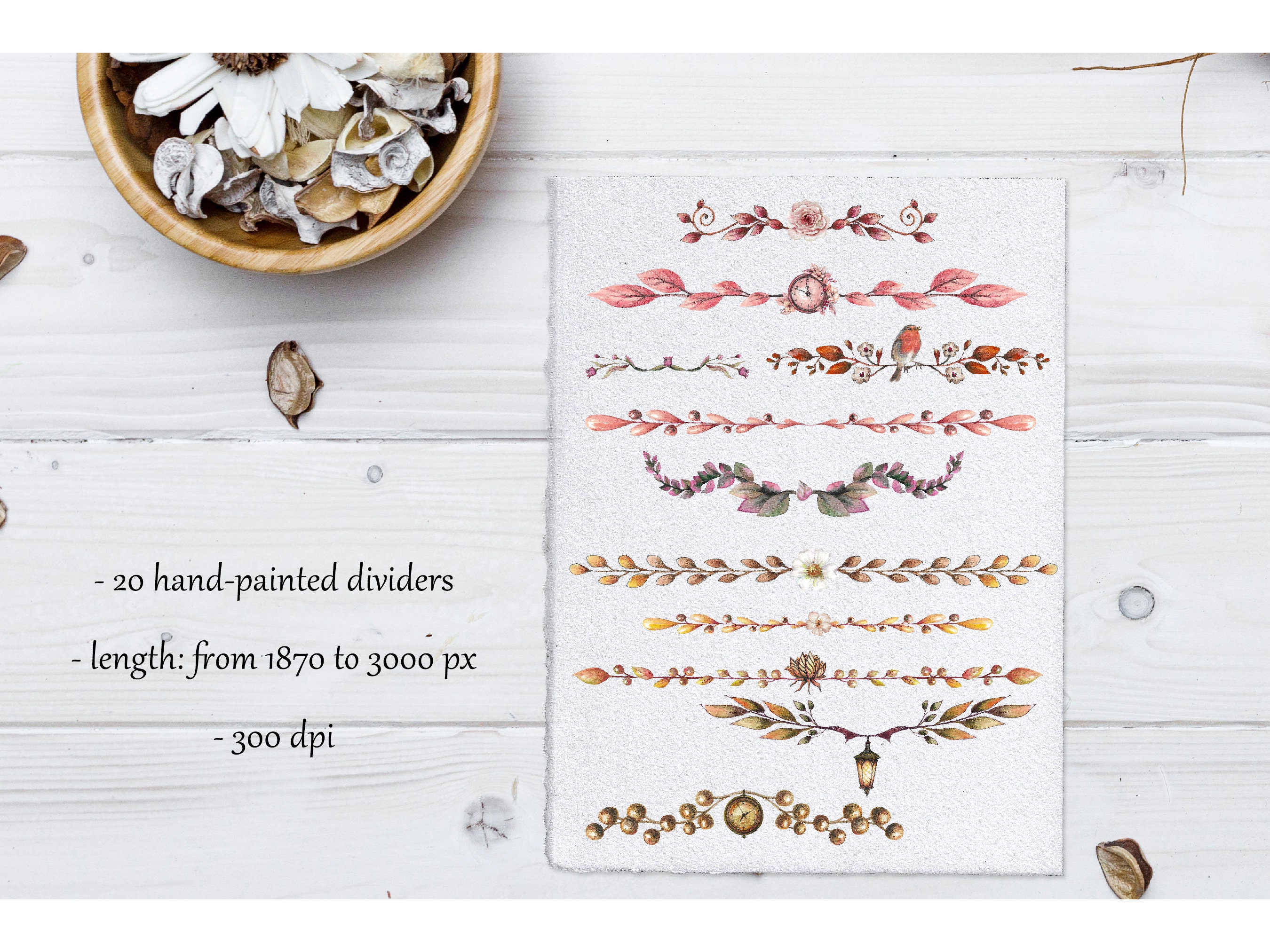 Vintage Book Dividers and Old Paper Scrolls, Watercolor Old Texture ...