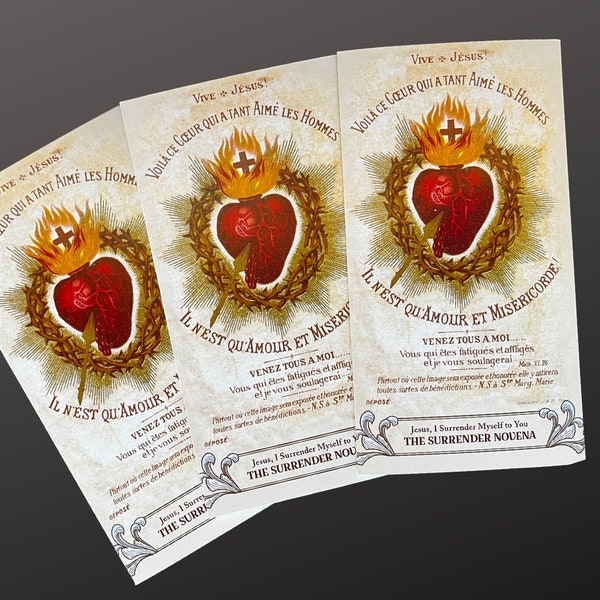 The Surrender Novena Prayer Card - Etsy