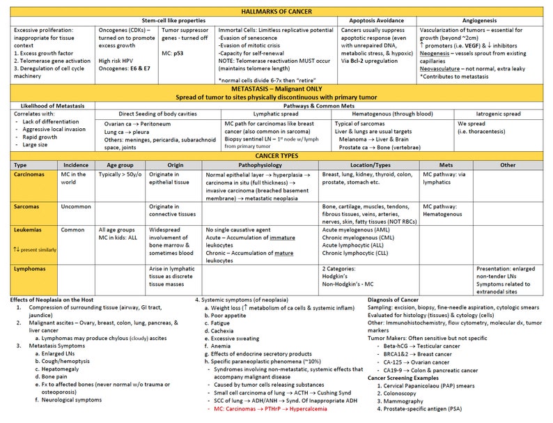 PA Pathophysiology Chart BUNDLE - Etsy