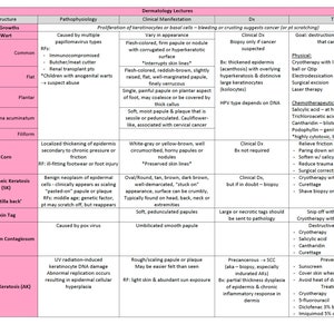 PA Dermatology Handbook + ICD-10 & CPT Code List - Etsy