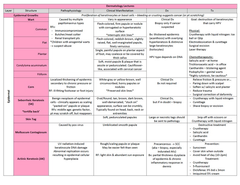 PA Dermatology Handbook + ICD-10 & CPT Code List - Etsy