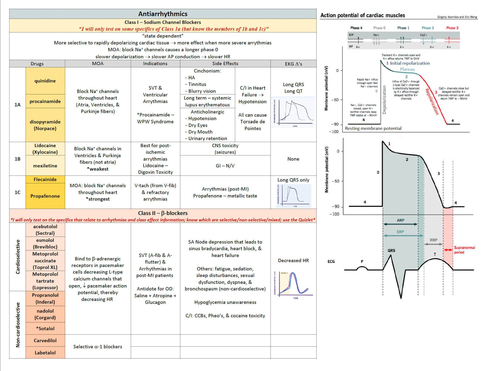 PA Pharmacology Complete Chart Set - Etsy