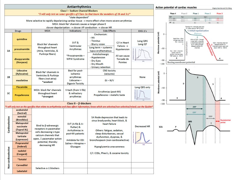 PA Pharmacology Complete Chart Set - Etsy
