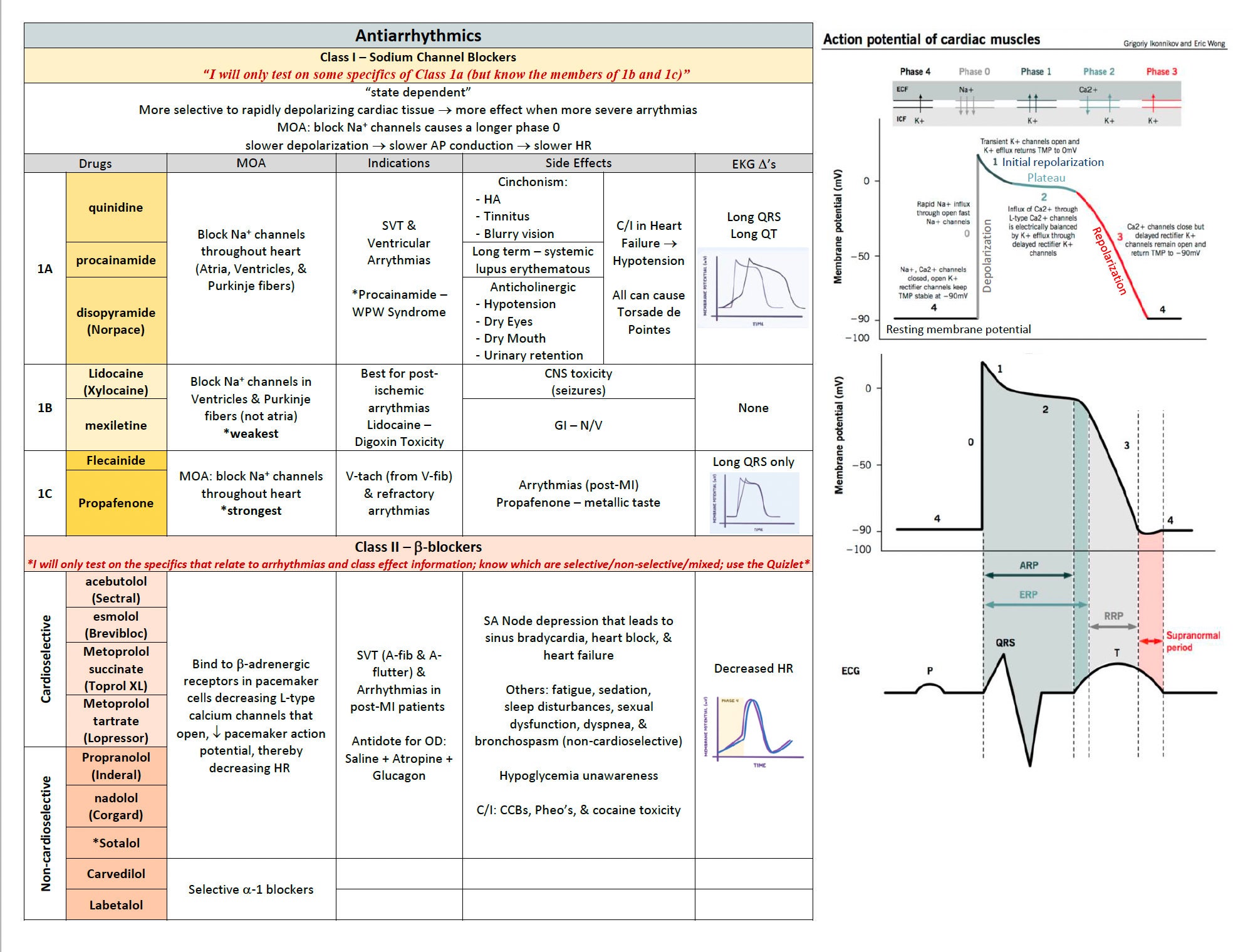 PA Pharmacology Complete Chart Set - Etsy