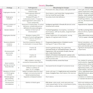 PA Pathophysiology Chart BUNDLE - Etsy