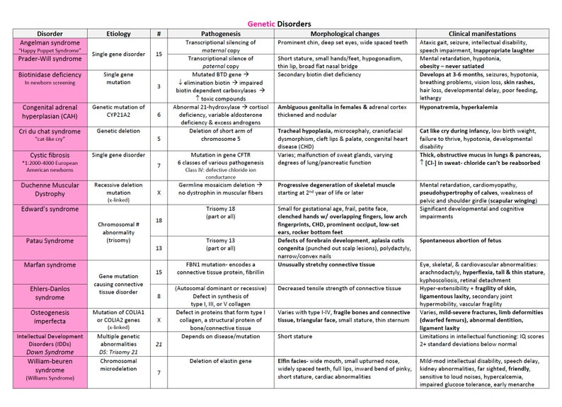 PA Pathophysiology Chart BUNDLE - Etsy