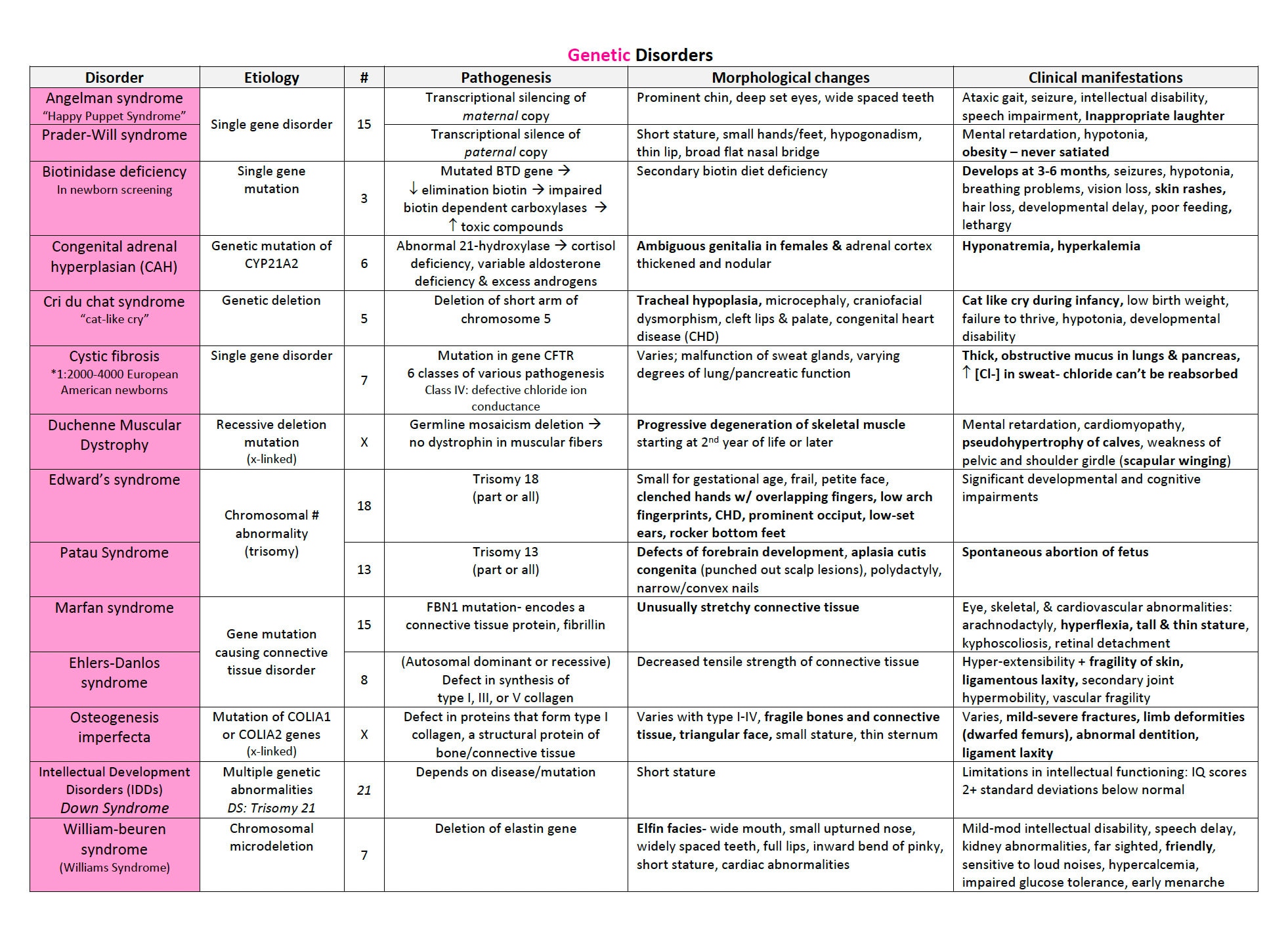 PA Pathophysiology Chart BUNDLE - Etsy