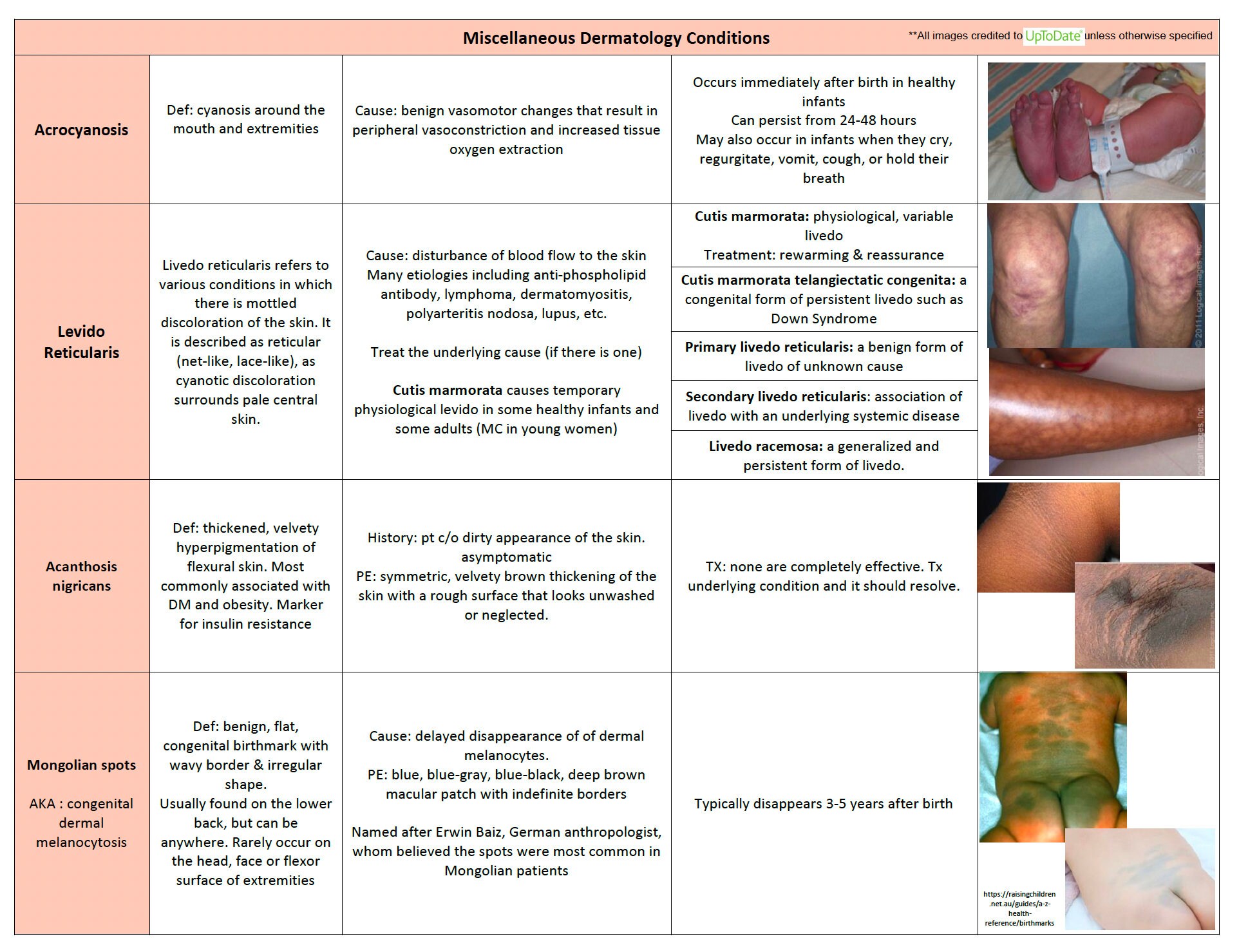 PA Dermatology Handbook + ICD-10 & CPT Code List - Etsy