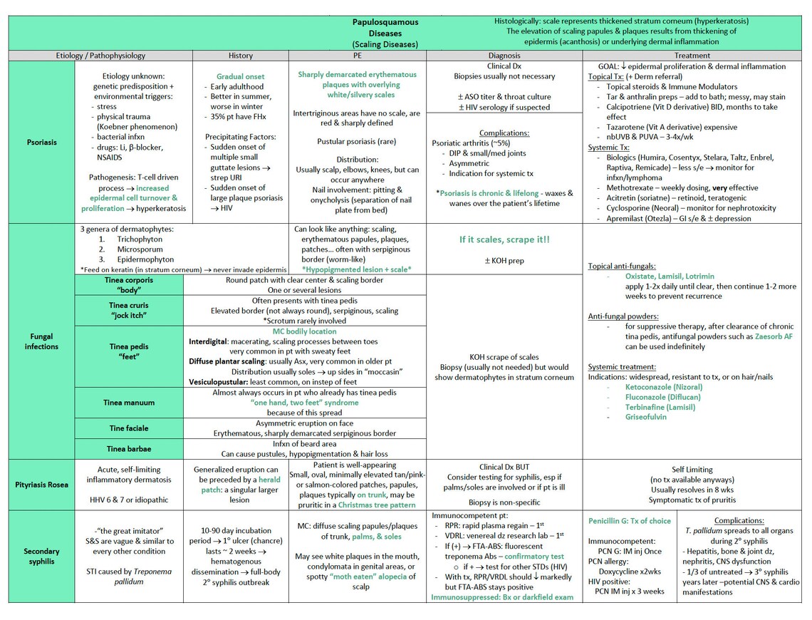 PA Dermatology Handbook + ICD-10 & CPT Code List - Etsy