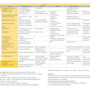 PA Pharmacology Complete Chart Set - Etsy