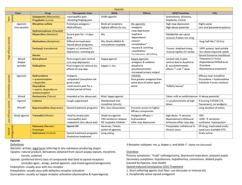 PA Pharmacology Complete Chart Set - Etsy