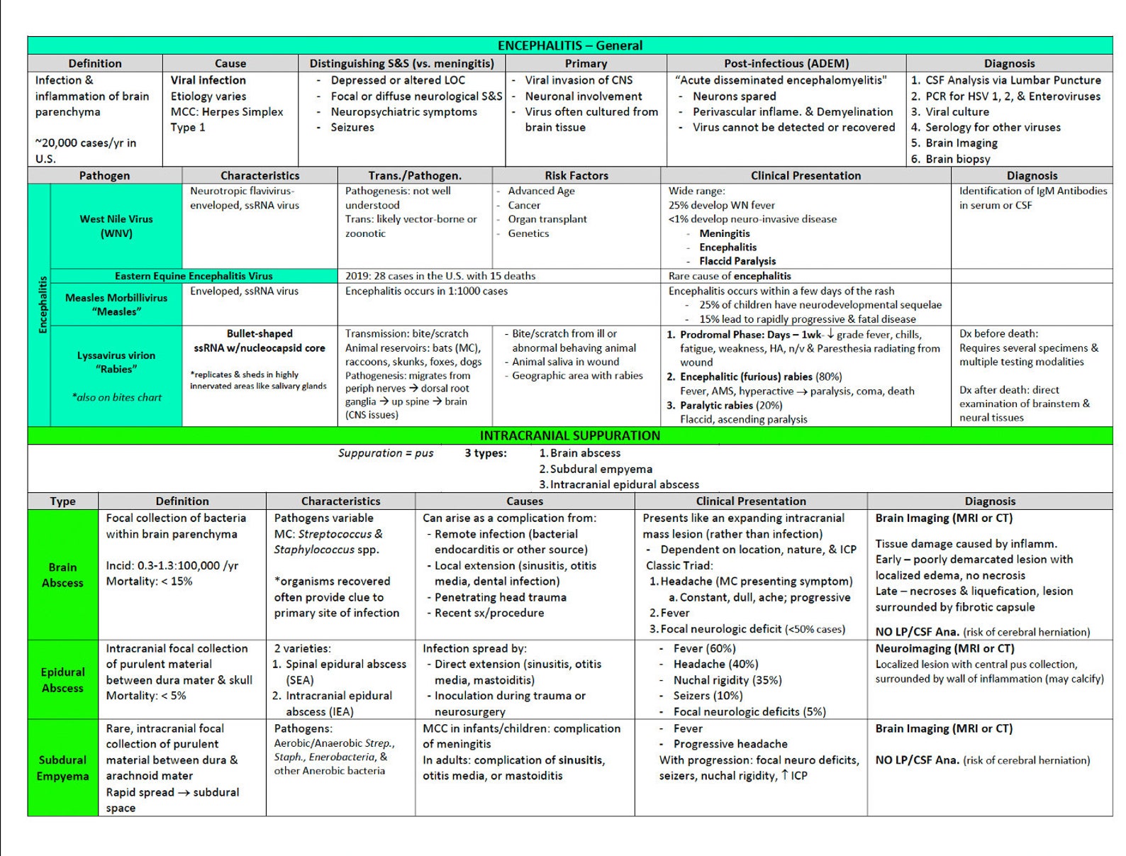 PA Pathophysiology Chart BUNDLE - Etsy