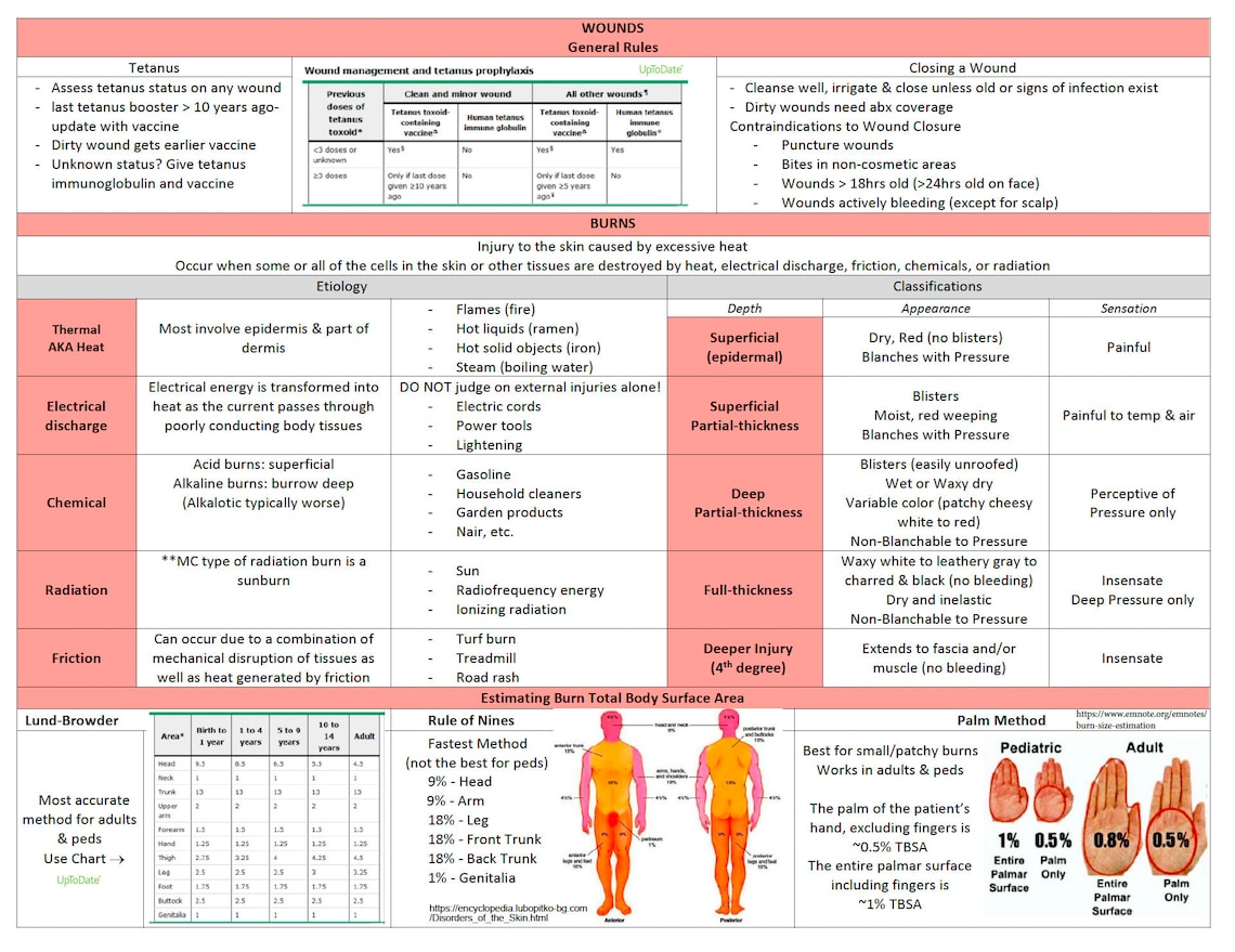 PA Dermatology Handbook + ICD-10 & CPT Code List - Etsy