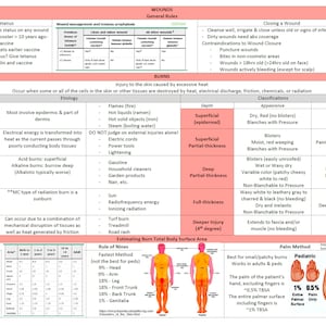 PA Dermatology Handbook + ICD-10 & CPT Code List - Etsy