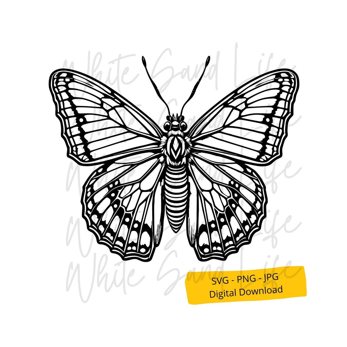 Moth Svg, Insect Svg, Moth Clipart, Moth Png, Moth Silhouette Svg, Moth ...