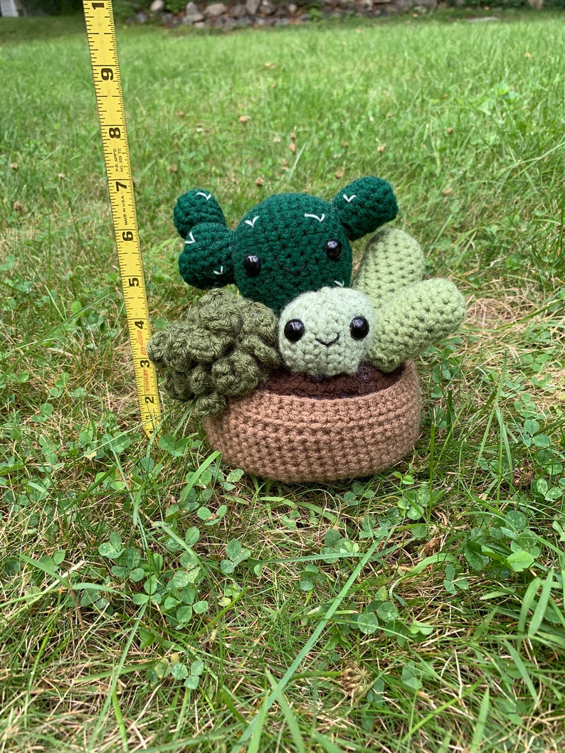 Crochet Cacti Amigurumi Stuffed Animal Finished Product - Etsy