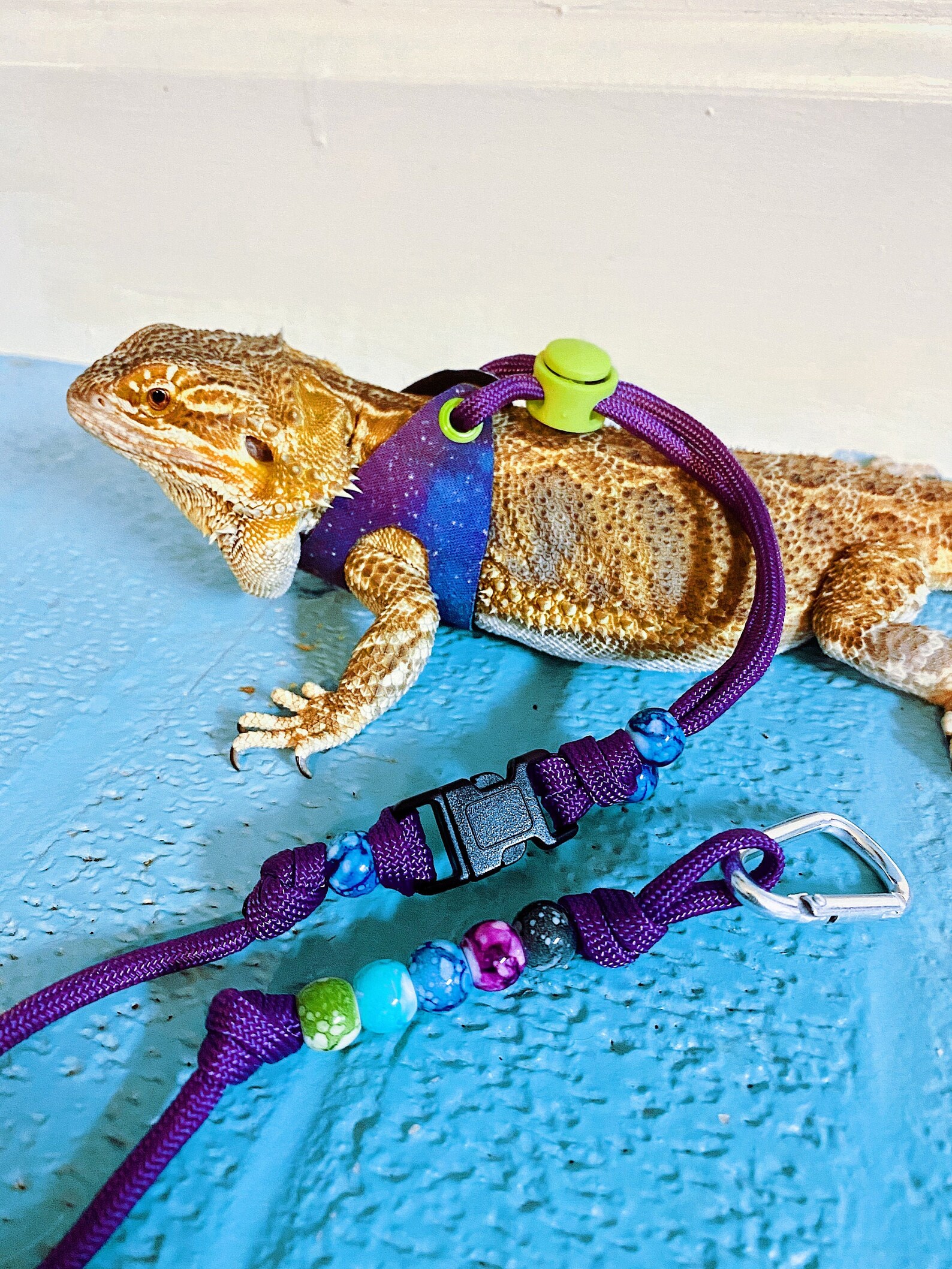 Reptile Harness | Etsy