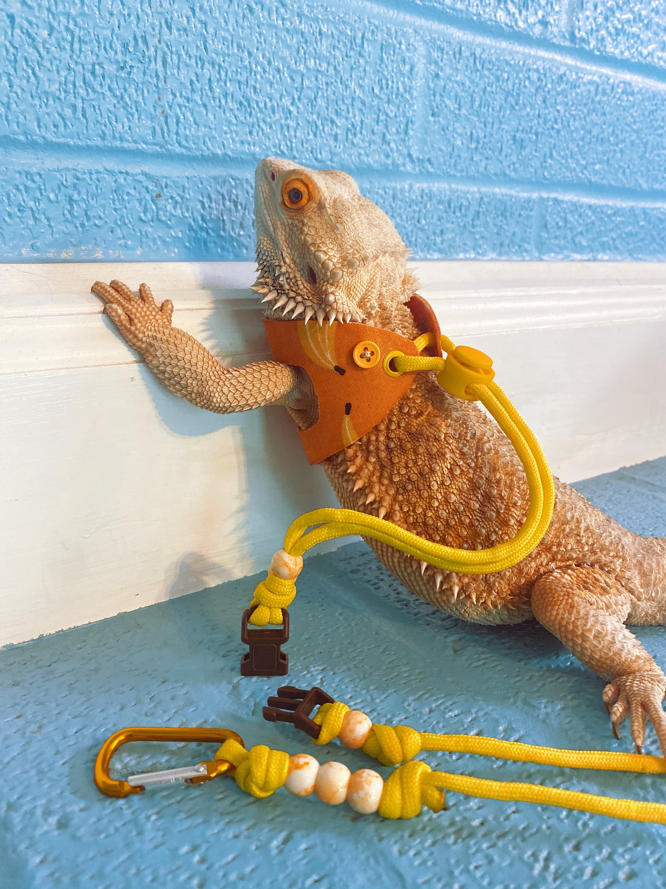 Reptile Harness | Etsy