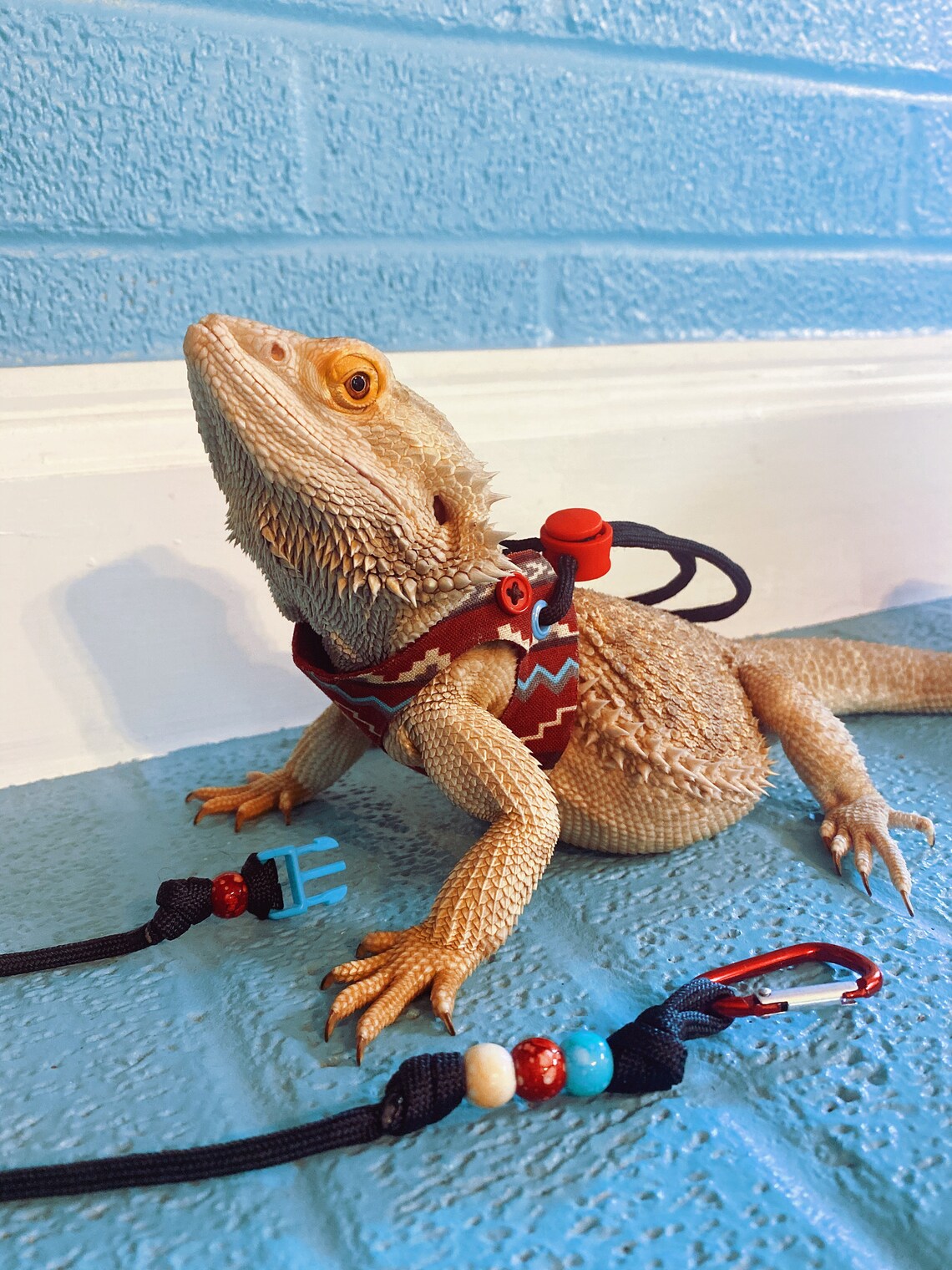 Reptile Harness | Etsy