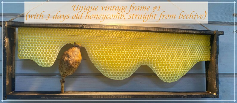 Vintage Wood Beehive Old Frames Rustic Authentic Home Wall - Etsy