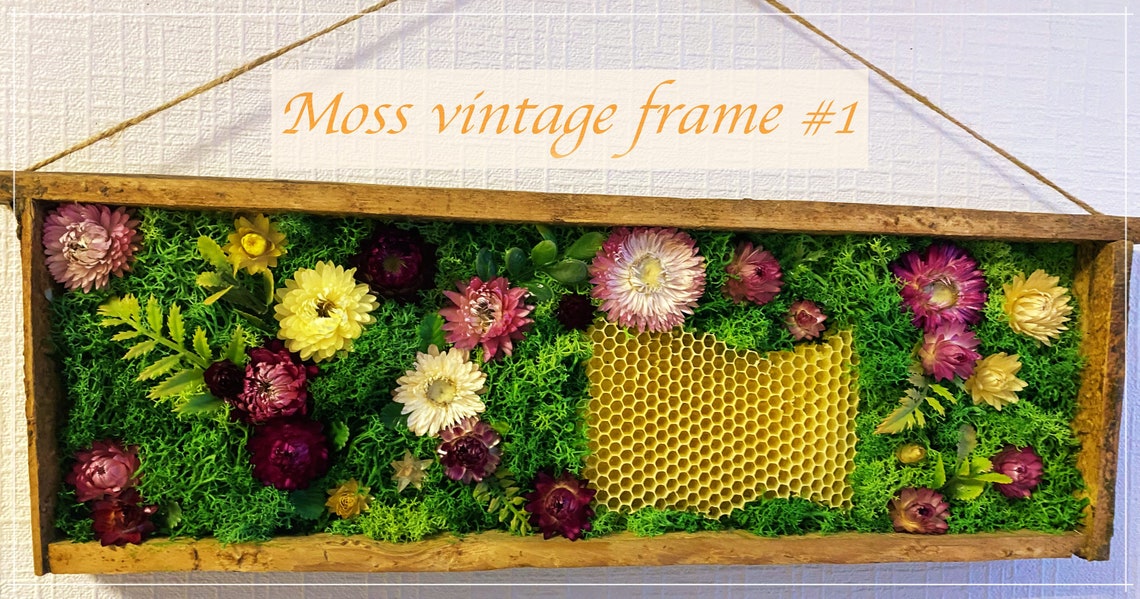 Vintage Wood Beehive Old Frames Rustic Authentic Home Wall - Etsy