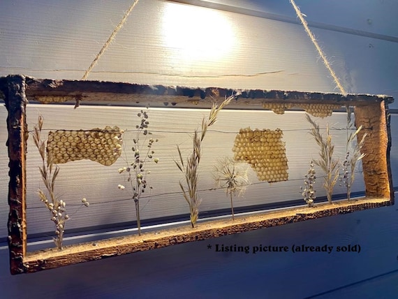 Vintage Wood Beehive Old Frames Rustic Authentic Home Wall - Etsy