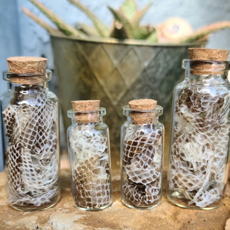 NatureEnframed - Etsy