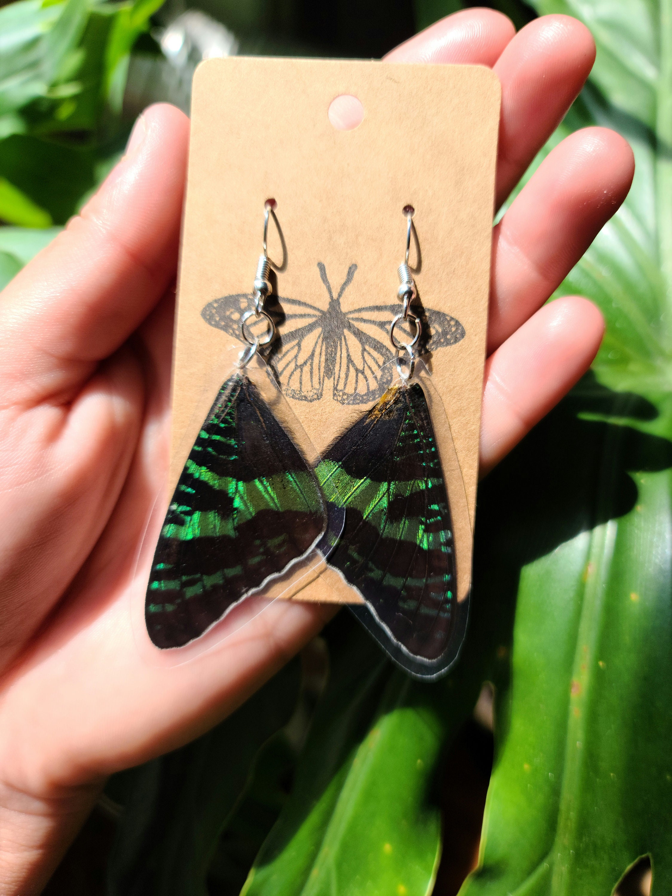Real Butterfly Wing Earrings// Sunset Moth Jewelry// - Etsy