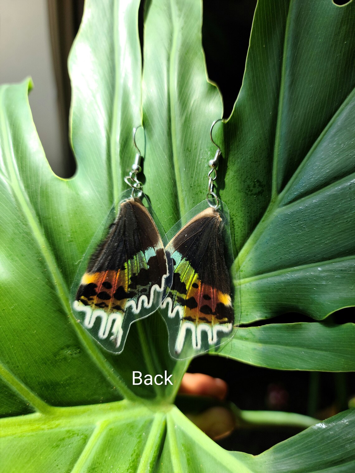 Real Butterfly Wing Earrings// Sunset Moth Jewelry// - Etsy
