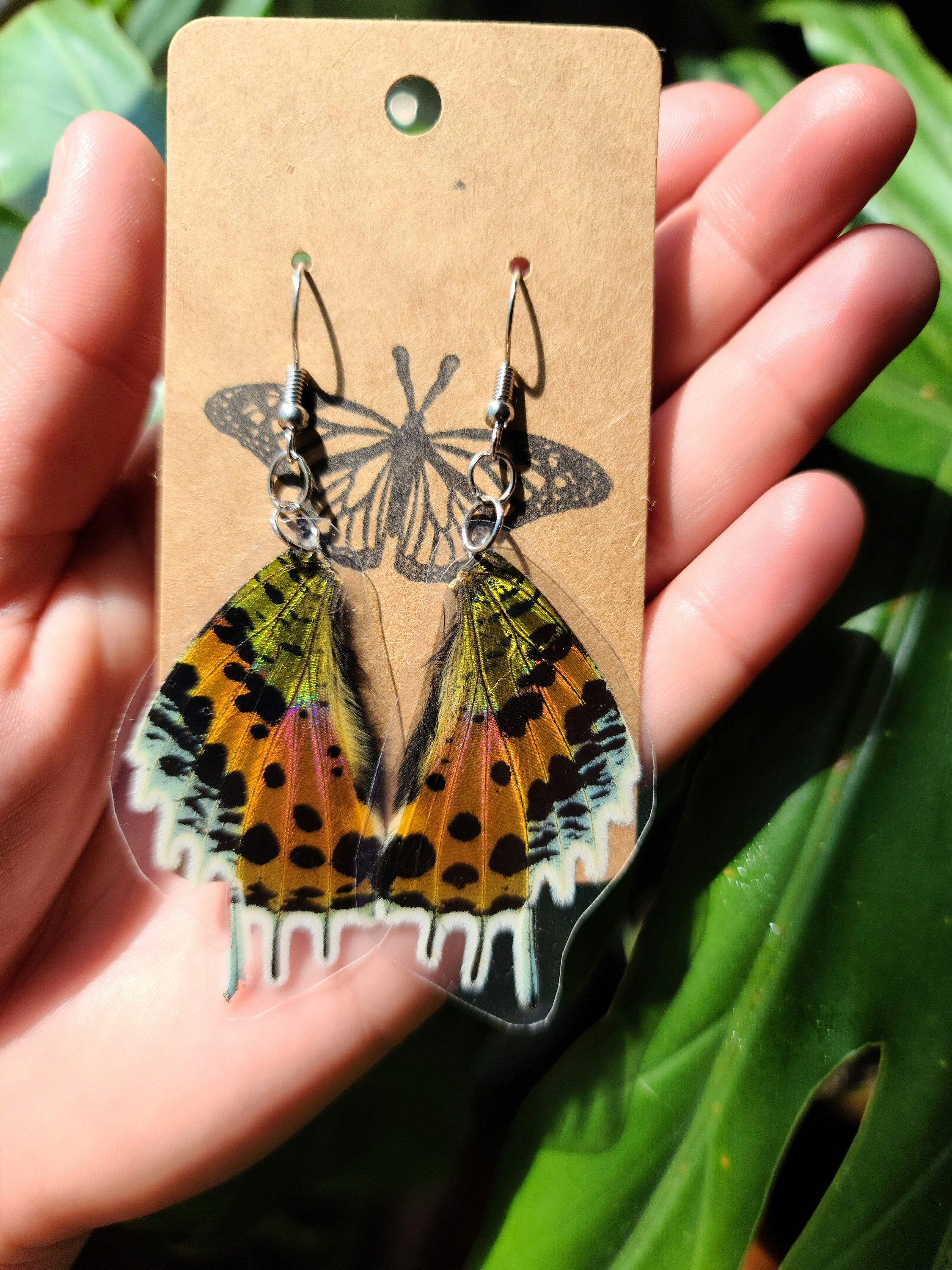 Real Butterfly Wing Earrings// Sunset Moth Jewelry// - Etsy