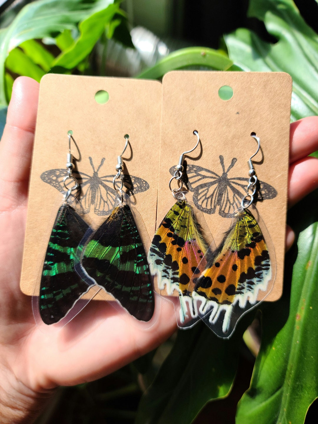 Real Butterfly Wing Earrings// Sunset Moth Jewelry// Laminated// Gift ...