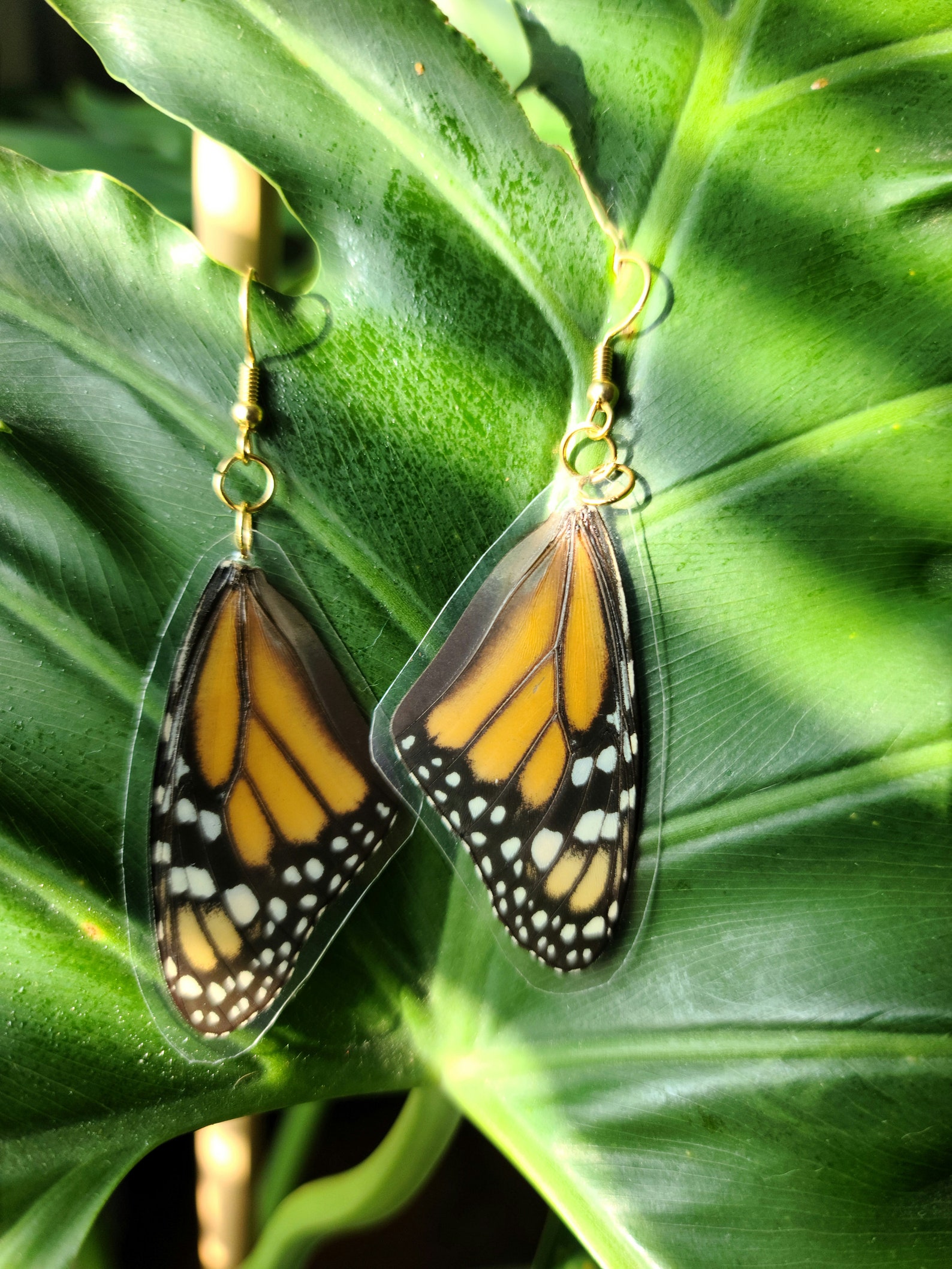 Real Laminated Butterfly Wing Earrings// Monarch Butterfly Jewelry ...