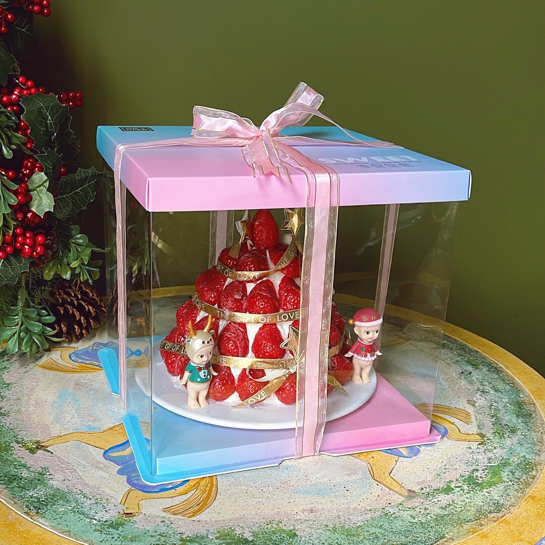 Rainbow Cake Box: Clear Tall Gift Box With Ribbon (set of 2) - Etsy