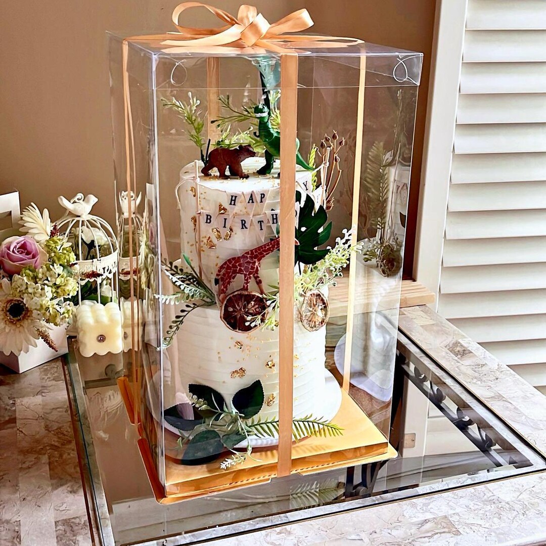 5 Sets 4 Tier 10''lx 10''W X 17.8''H Extra Tall Clear Cake/gift Boxes ...