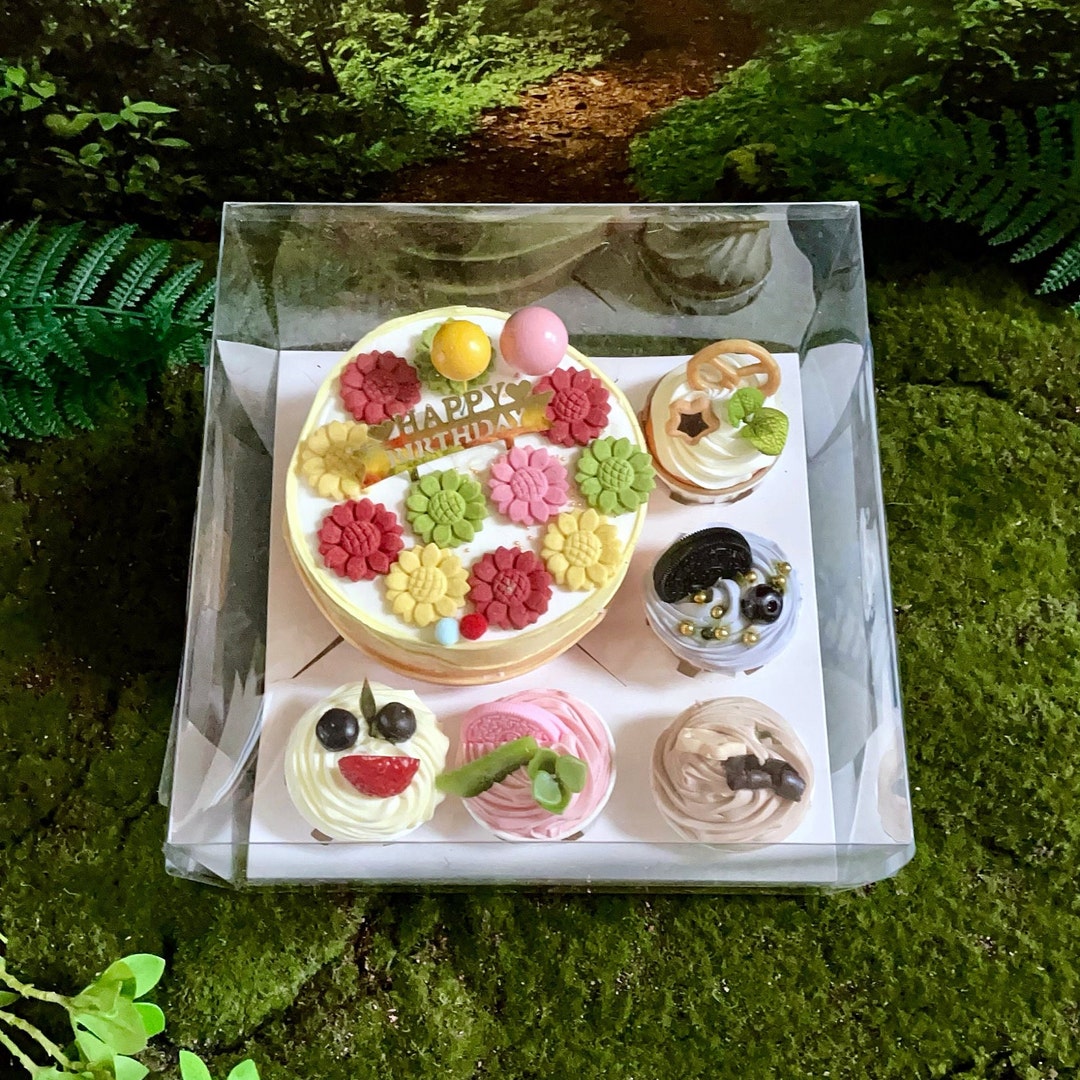 Clear Bento Boxes: Cake & Cupcake Display - 10 Sets - Etsy
