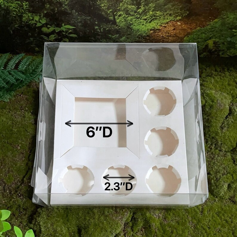 2 Sets Clear Bento Boxes,transparent Cake and Cupcakes Boxes,hold 1 ...